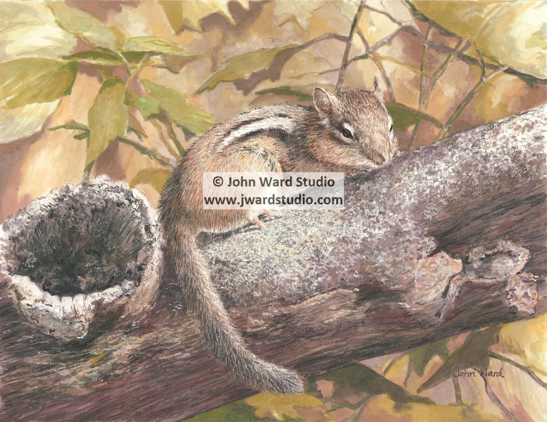 Chipmunk Art Print by John L. Ward, Wildlife Art, Chipmunk Painting ...