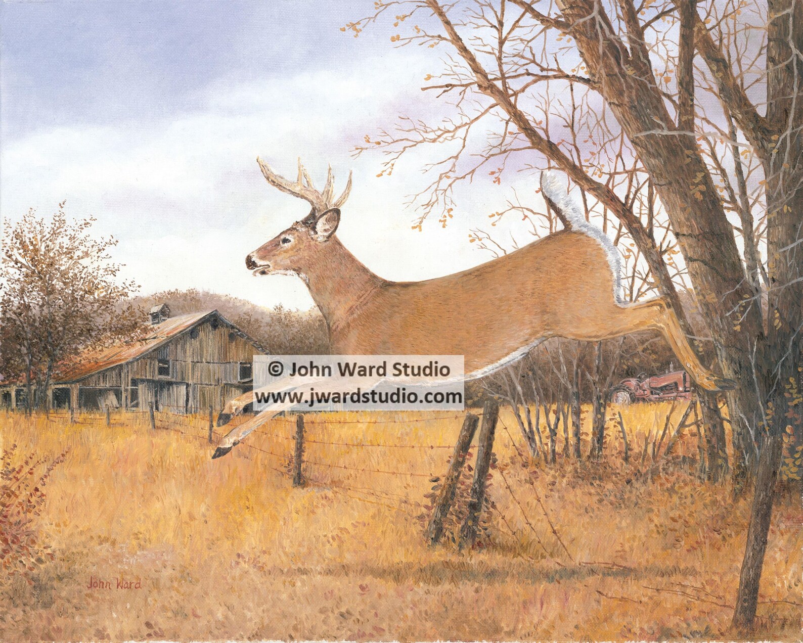 Breaking Cover Deer Art Print by John L. Ward, Deer Hunting, Deer ...