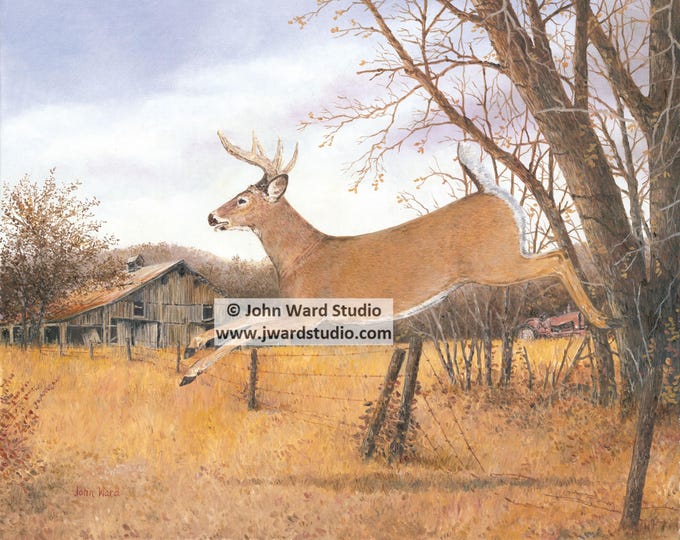 Breaking Cover Deer Art Print by John L. Ward, Deer Hunting, Deer ...