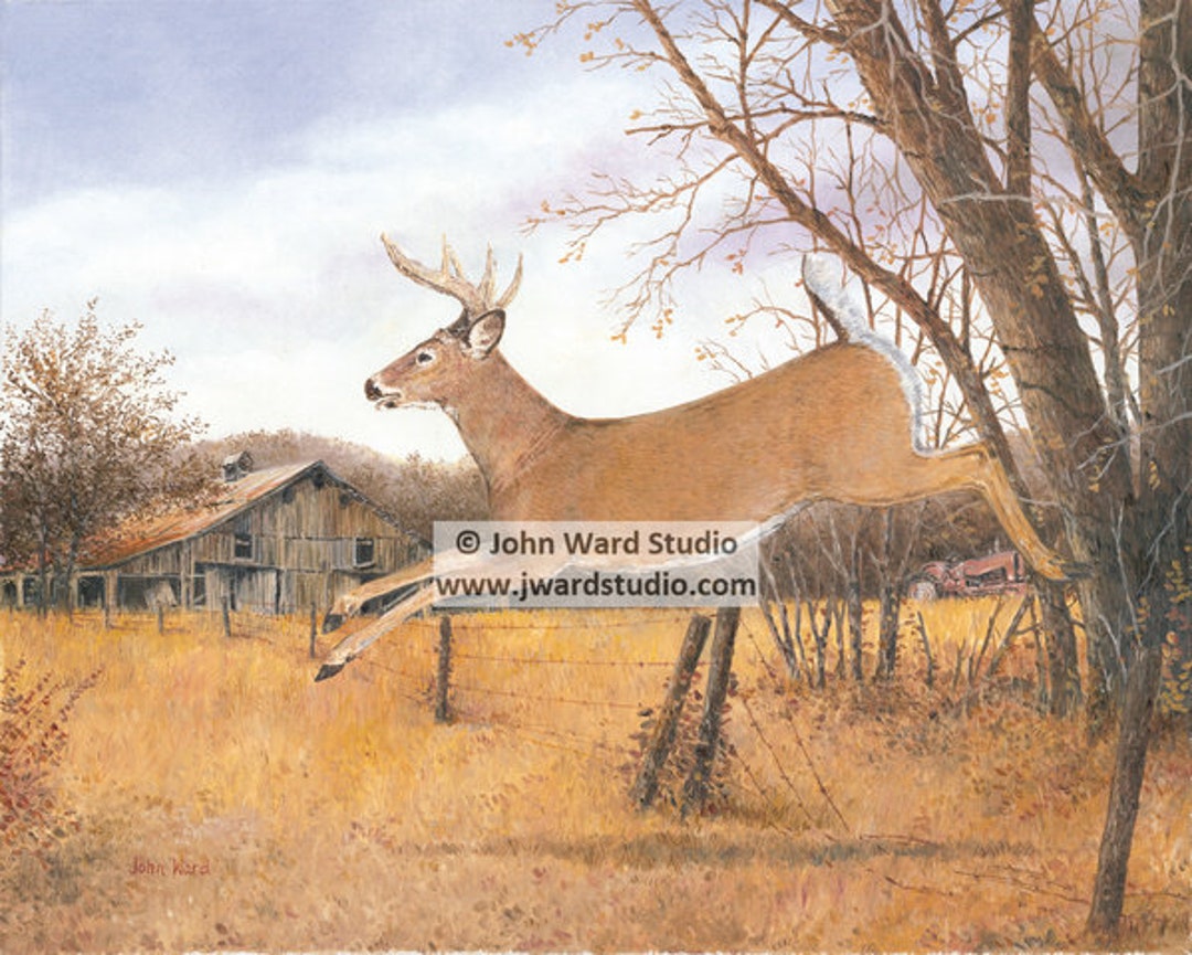 Breaking Cover Deer Art Print by John L. Ward, Deer Hunting, Deer ...