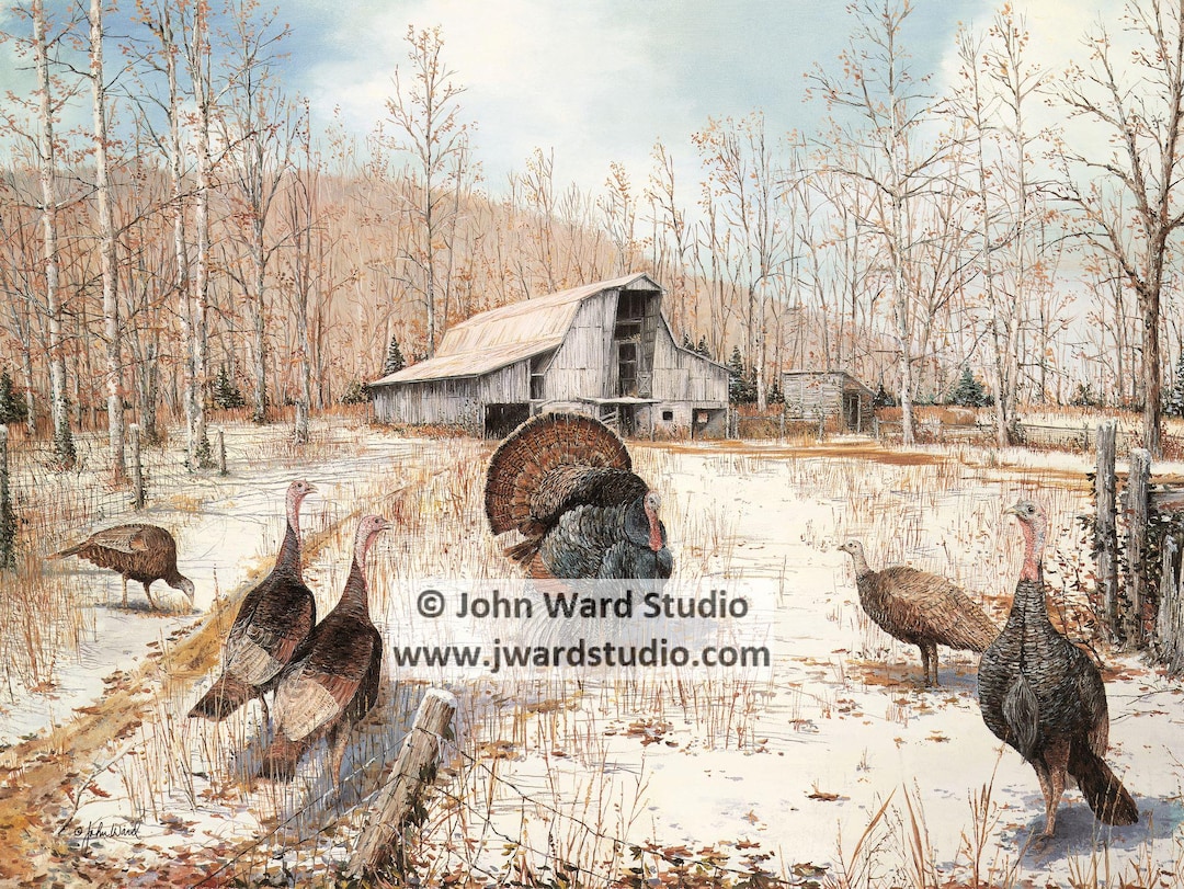 Barnyard Gobblers Print by John L. Ward, Eastern Wild Turkey Artwork ...