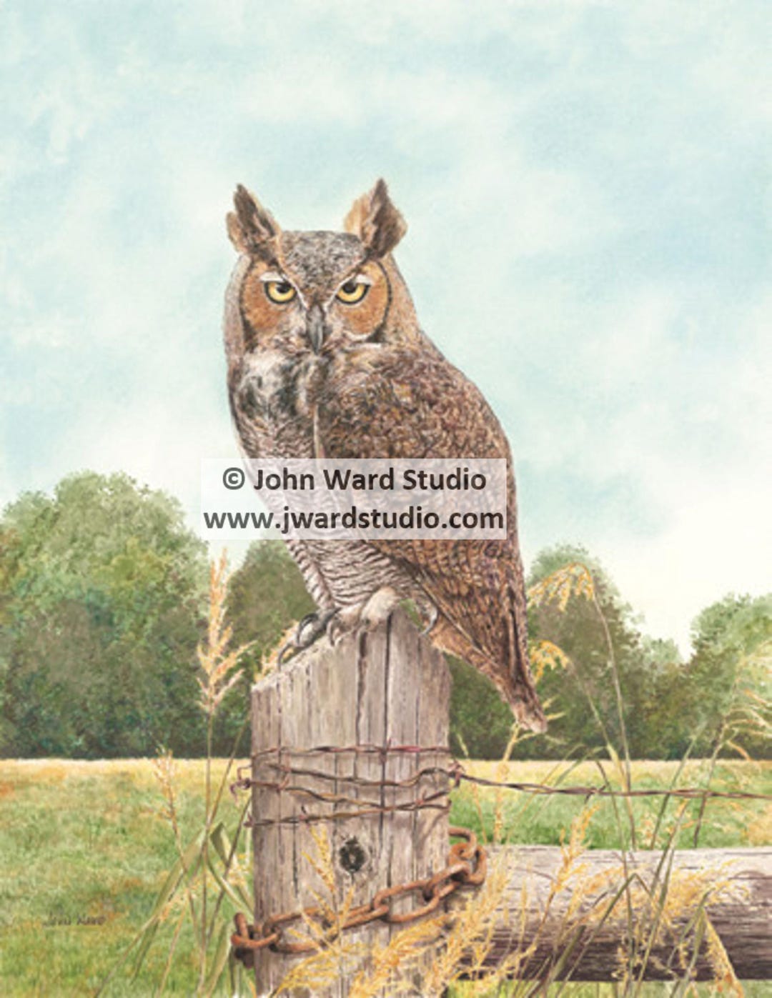 Great Horned Owl Art Print by John L. Ward, Owl Wall Decor, Owl Wall ...