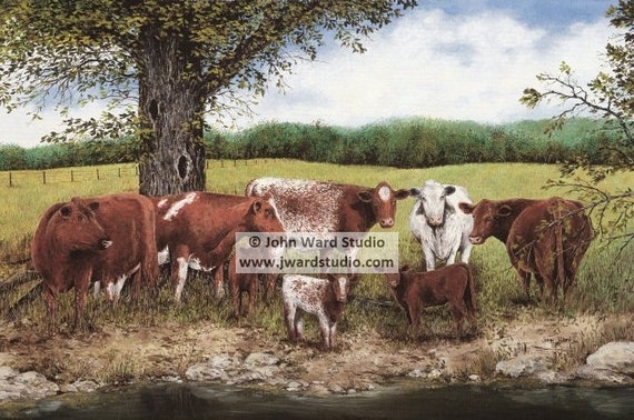 Red Shorthorn Cattle
