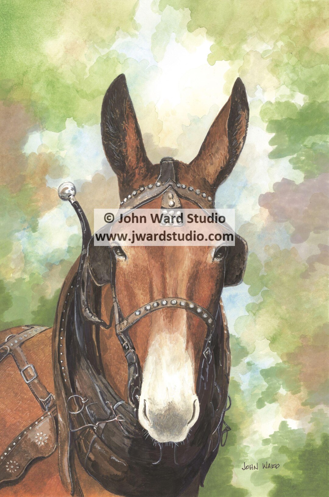 Buford Mule Print by John L. Ward, Mule Art, Mule and Harness, Mule ...