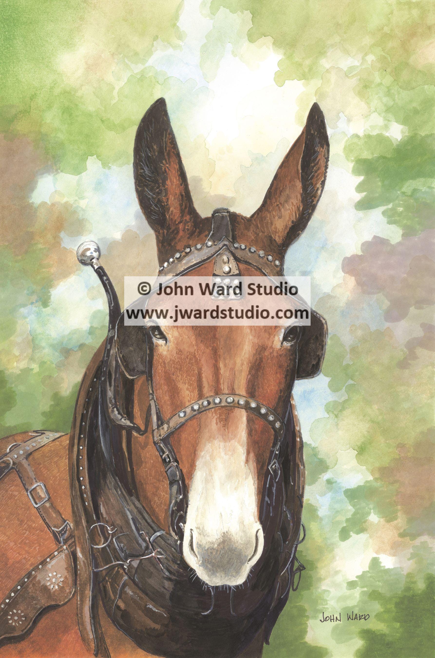 Buford Mule Print by John L. Ward, Mule Art, Mule and Harness, Mule ...