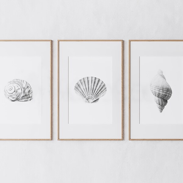 Sea Shell Print - Etsy