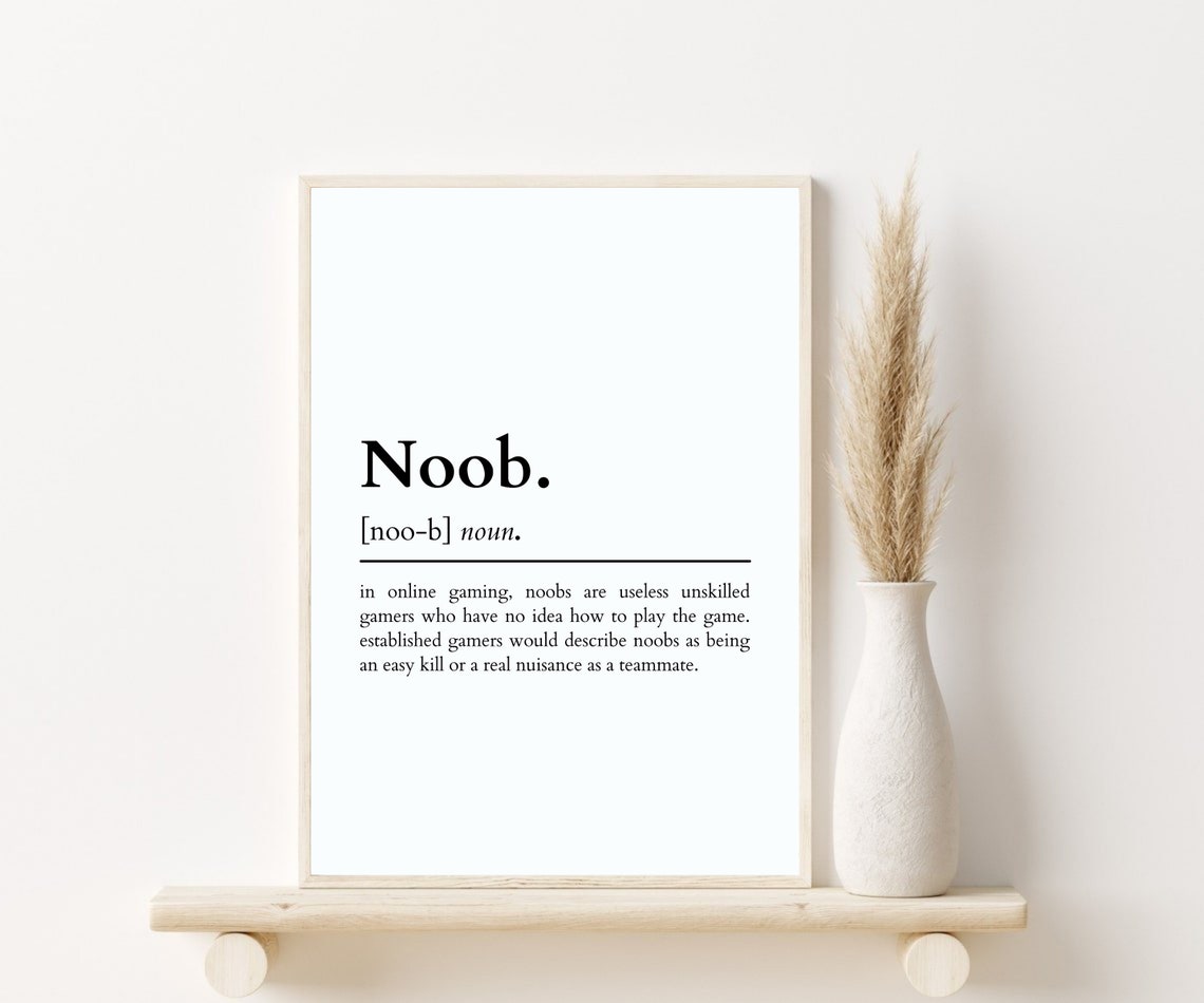 Noob Definition Print Game Room Wall Art Gaming Prints - Etsy