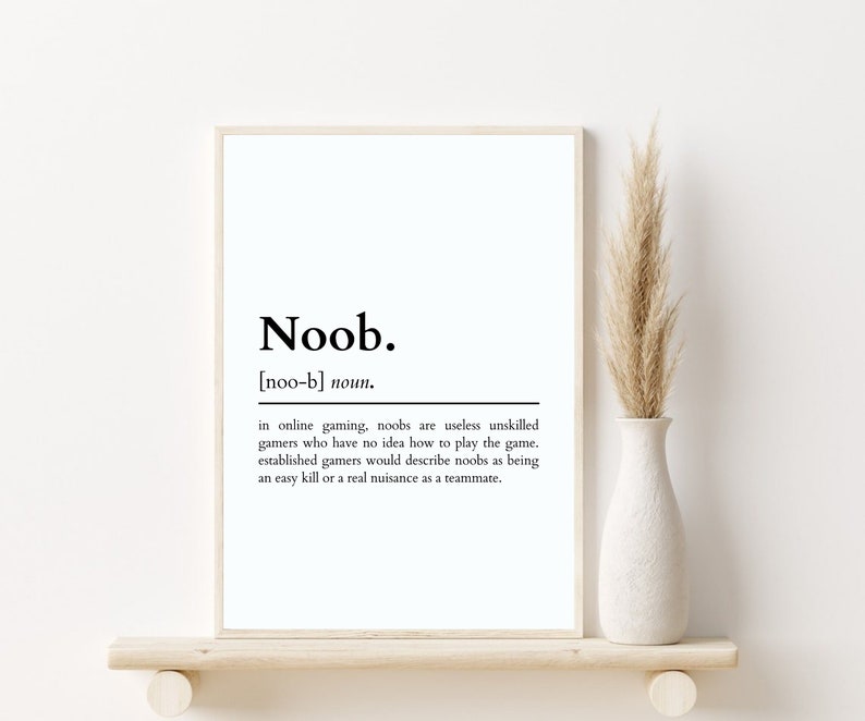 Noob Definition Print Game Room Wall Art Gaming Prints Gamer Gifts Boys ...
