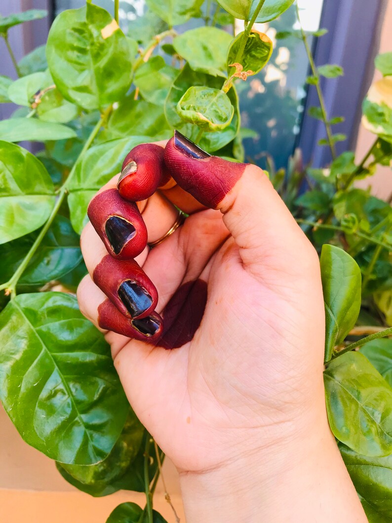 All Natural DIY Henna Kit - Etsy