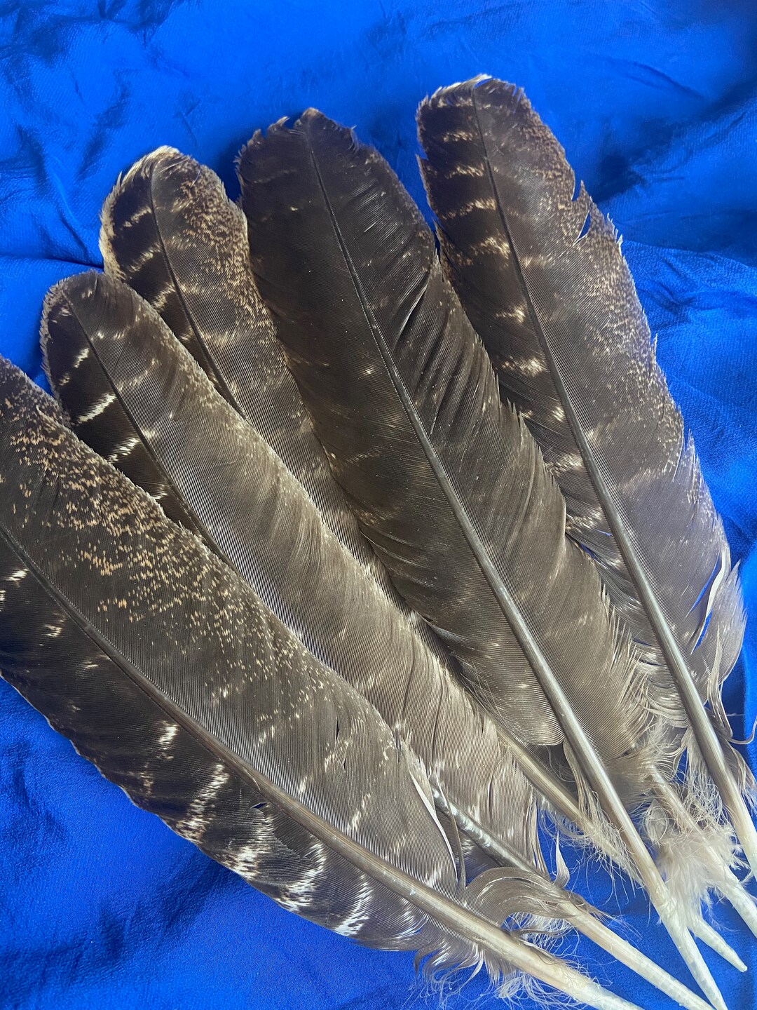 Feather - Etsy