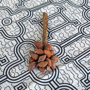 Seed Rattle ~ Maracas ( 20 Seeds ) | Handle Part Made From Aya Vine ...