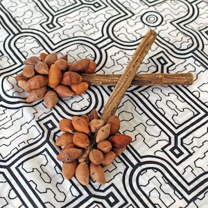 Seed Rattle ~ Maracas ( 20 Seeds ) | Handle Part Made From Aya Vine ...
