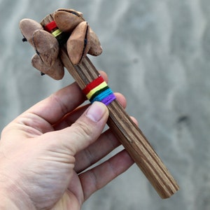 Seed Rattle Maraca 10 Seeds Handle Part Made From Aya Vine Traditional ...