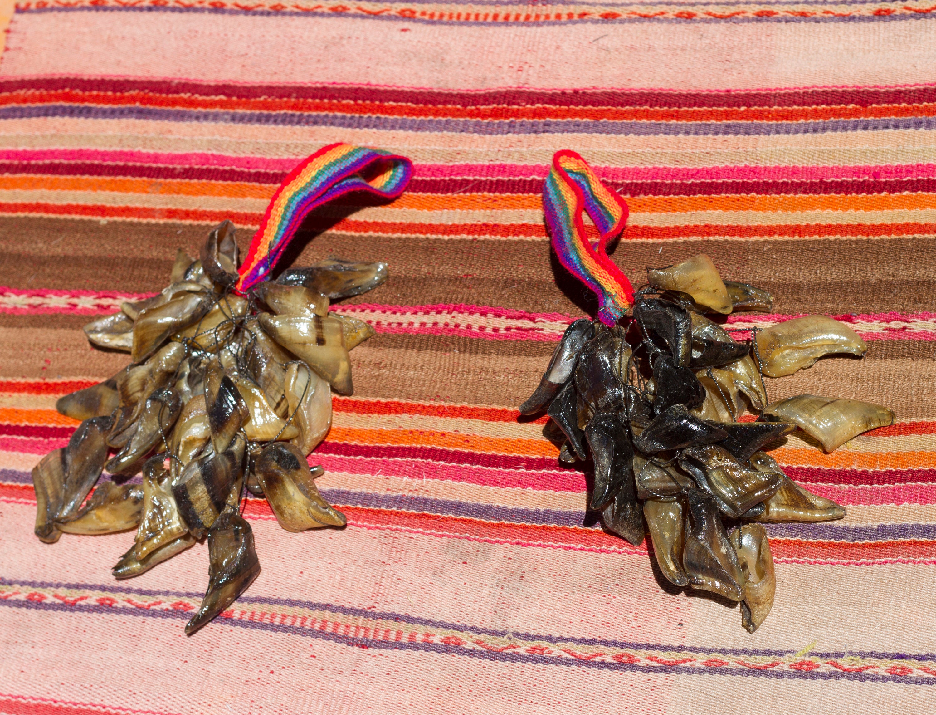 Shaker Seed Amazon Chajchas Traditional Andean Instrument | Etsy