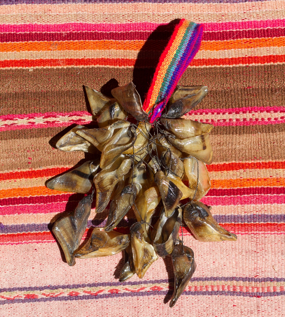 Shaker Seed Amazon Chajchas Traditional Andean Instrument | Etsy