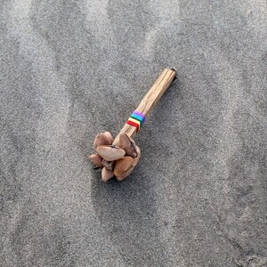 Seed Rattle ~ Maraca ( 10 Seeds ) | Handle Part Made From Aya Vine ...