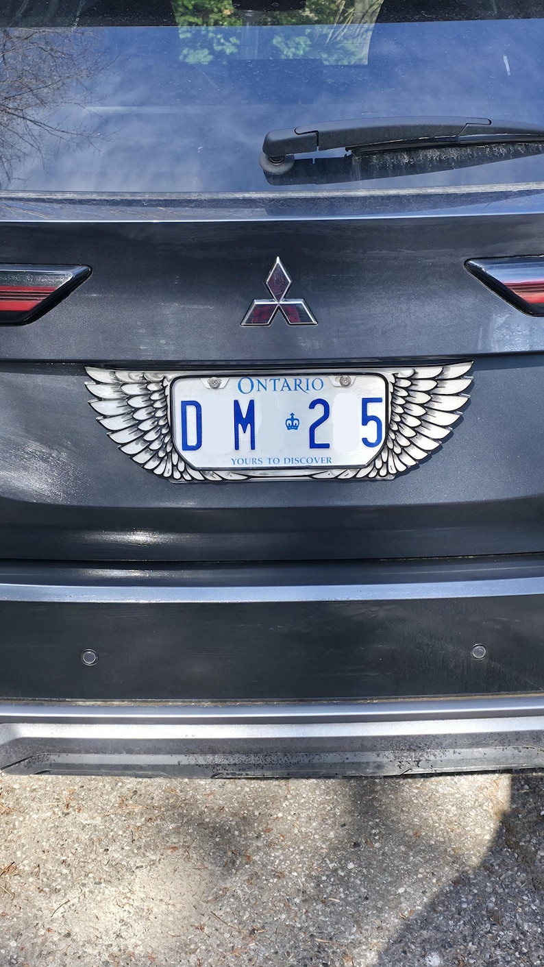 Wing License Plate Frame Single, Black License Plate Frame, License ...