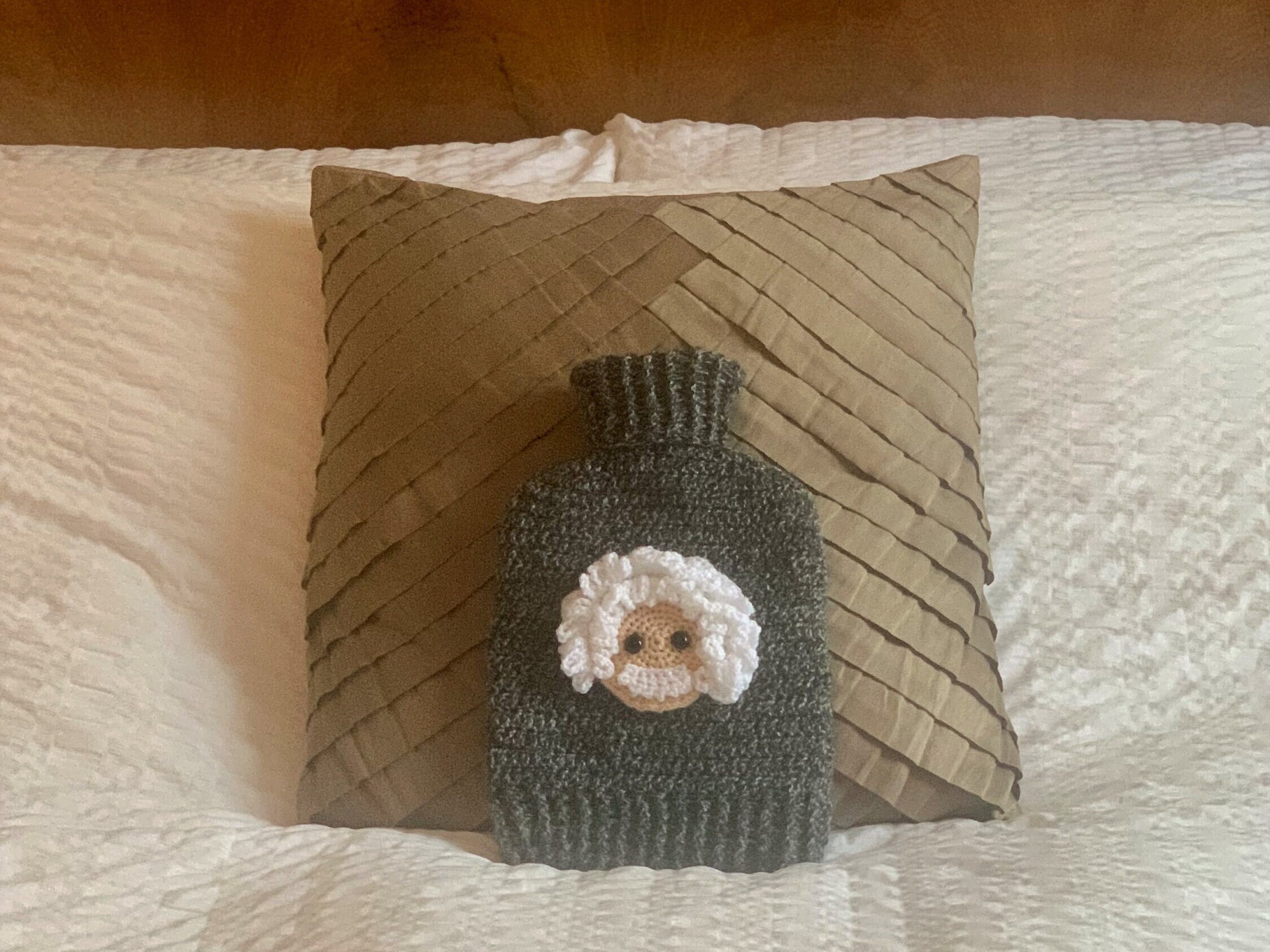 Albert Einstein Hot Water Bottle - Etsy