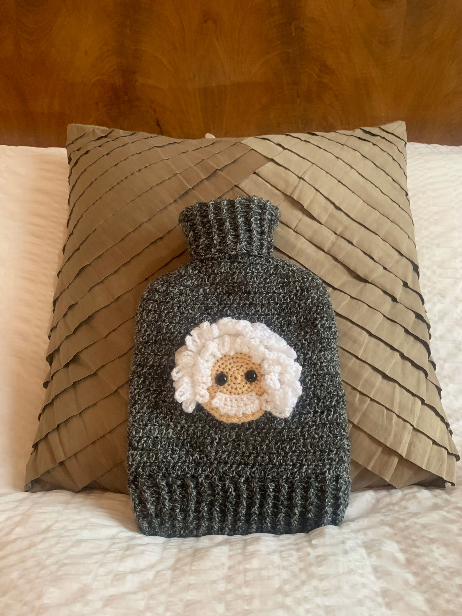 Albert Einstein Hot Water Bottle | Etsy