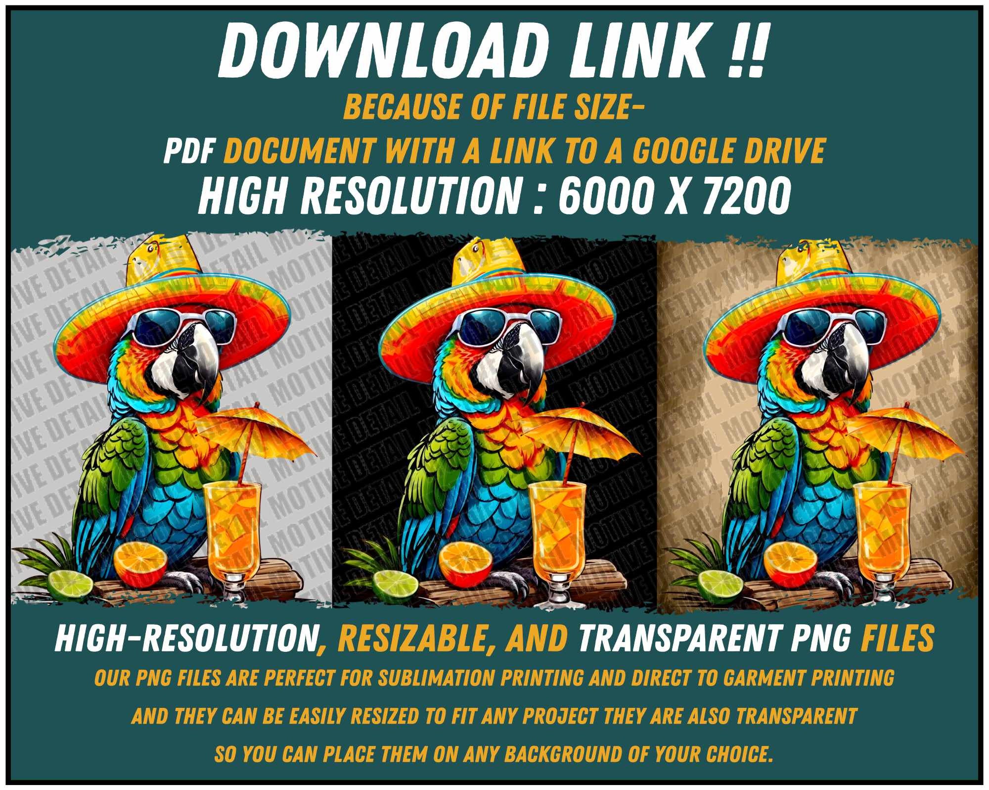 Bundle Cocktail Parrot PNG, Margarita PNG, Colorful Parrot Island Vibes ...