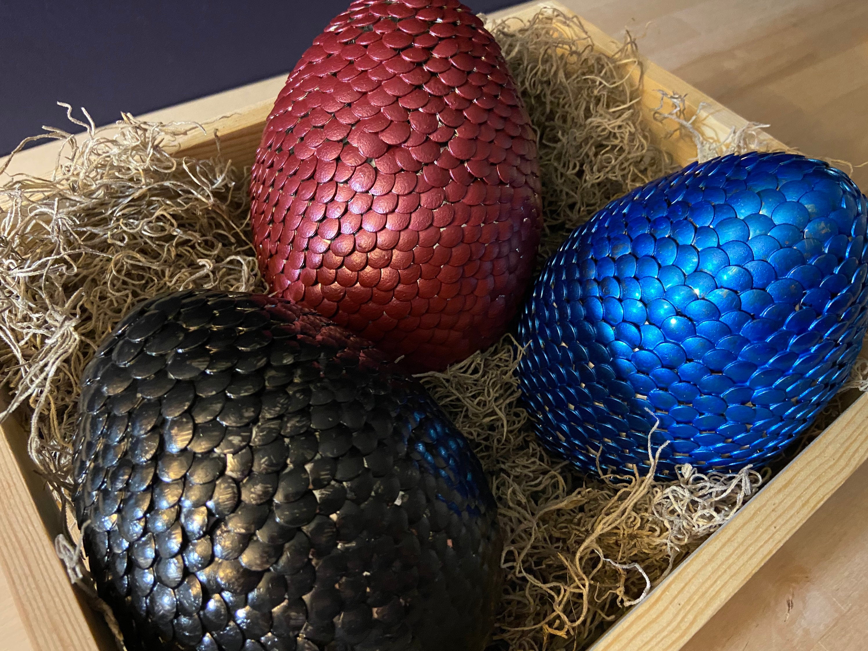 Real Dragon Egg