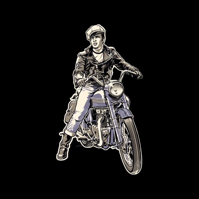 1952 Thunderbird the Wild One Digital Vector File PMS Colors - Etsy UK