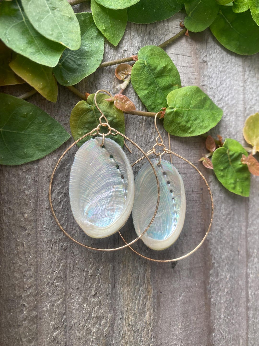 Green Whole Abalone Shell Beachy Hammered Gold Hoop Earrings - Etsy