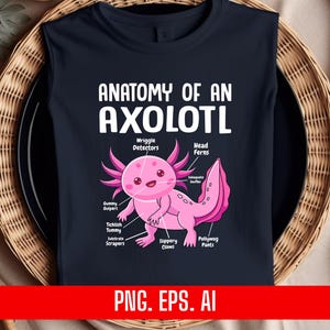 Anatomy of an Axolotl Design Sublimation Printing DTG Tshirt Png Ai Eps ...