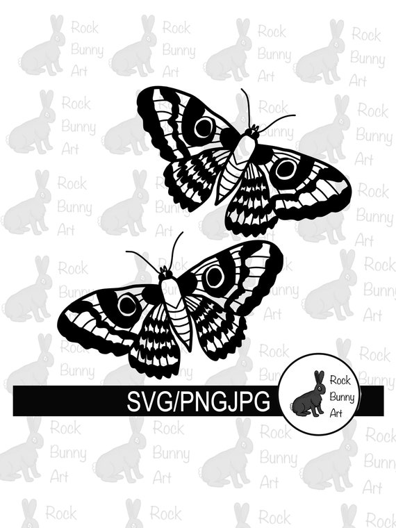 Patterned Moth Svg Butterfly Png Insect Clipart Svg for - Etsy