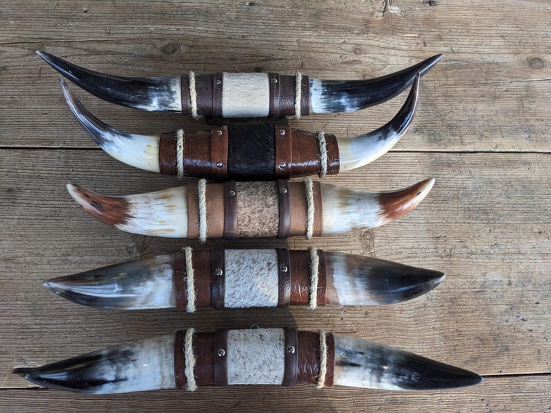 Mini Steer/ Cow Horns - Etsy