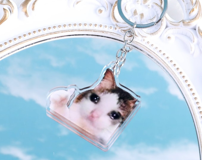 Thumbs up Crying Cat Viral Meme Keychain [double Sided] - Etsy
