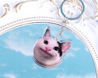Thumbs up Crying Cat Viral Meme Keychain [double Sided] - Etsy