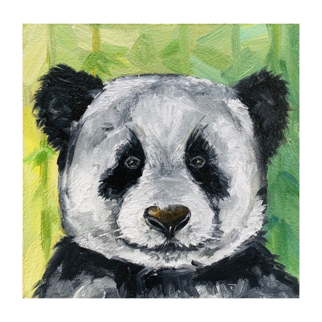 Panda Oil Painting: Impasto Bear Portrait, Original Animal Art (6x6 ...
