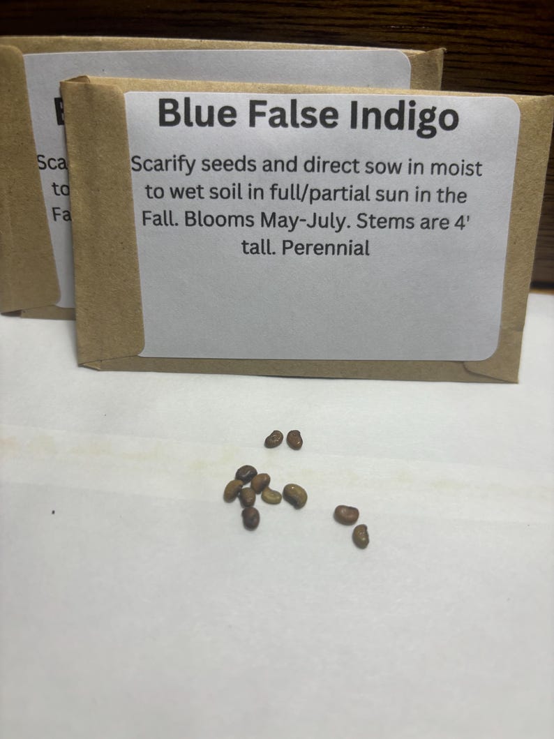 Blue False Indigo Seeds - Etsy