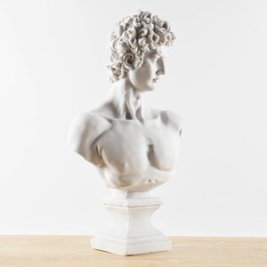 David Bust Statue Davud Sculpture 17 Large Mytholog - Etsy