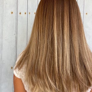 Wig 100% Remy Human Hair, Brown Ombre Wig 21”, SILK Top, Jewish Wig ...