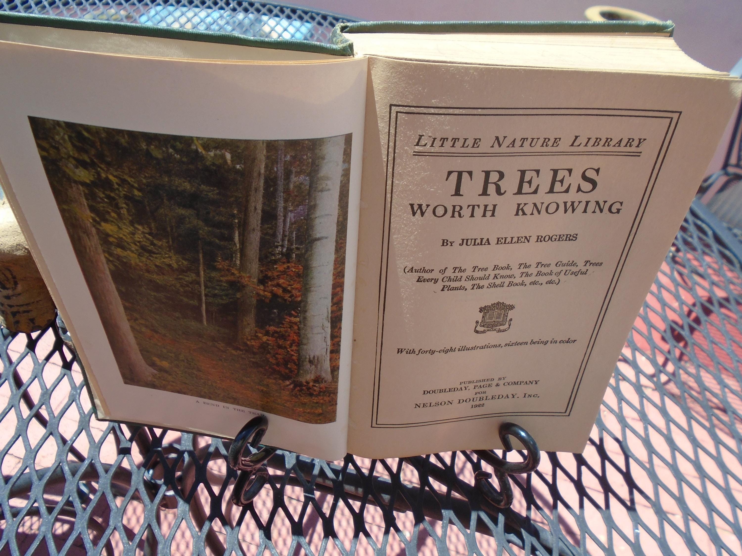 Trees 1917 Vintage Book - Etsy