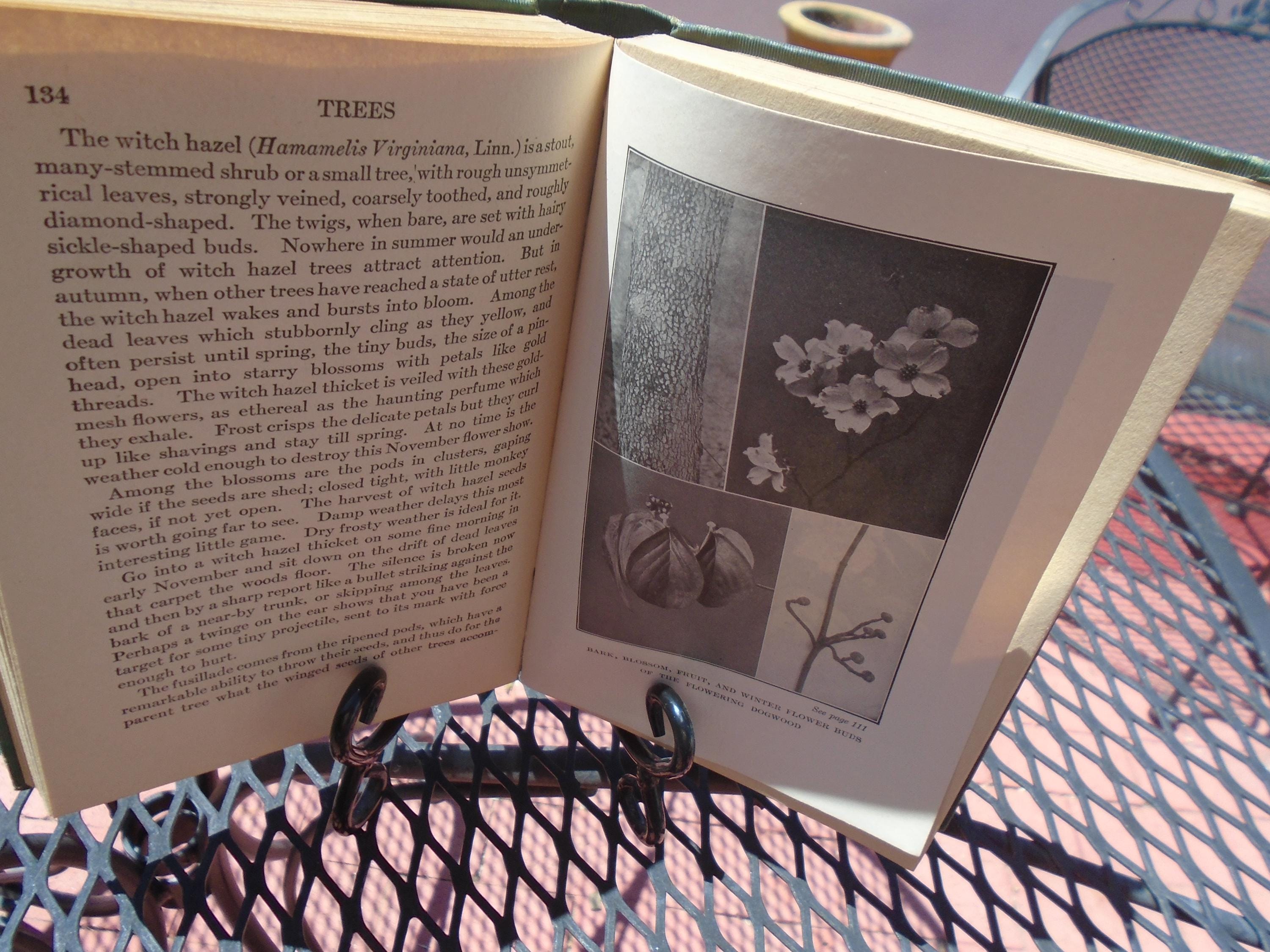 Trees 1917 Vintage Book - Etsy
