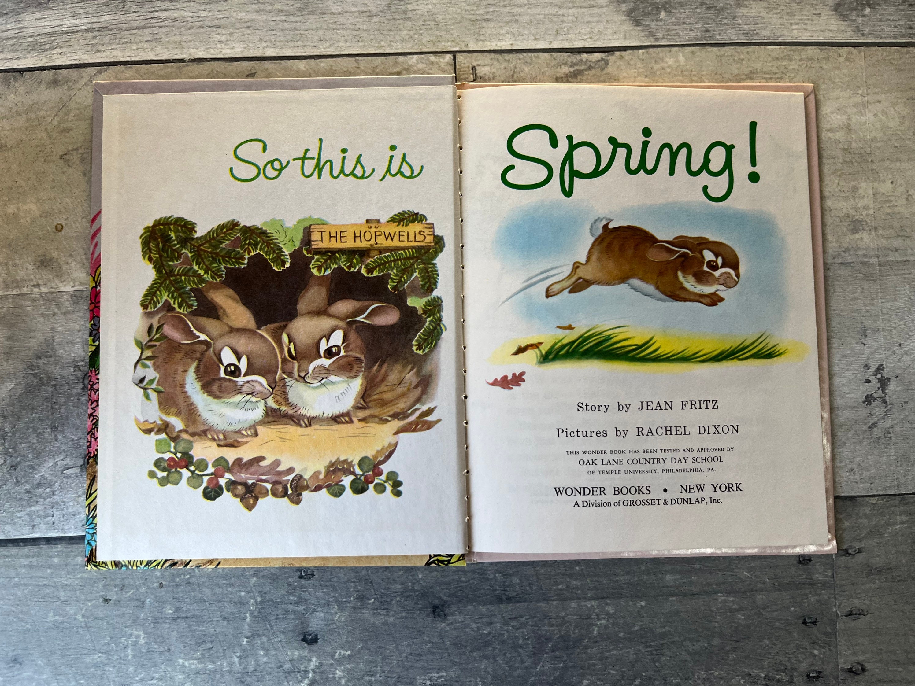 So This is Spring Wonder Books - Etsy
