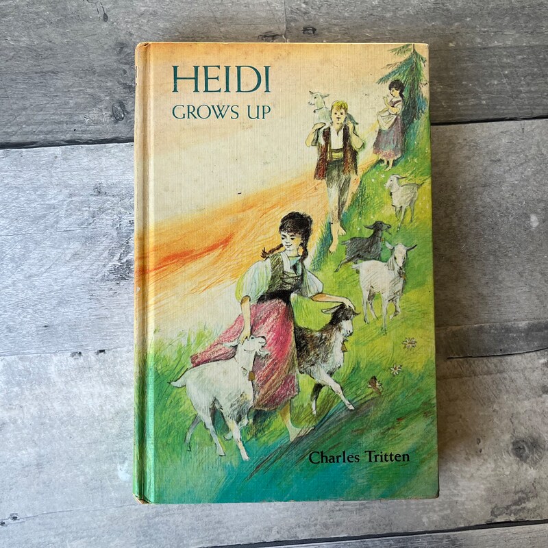Vintage Heidi Book - Etsy
