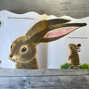 The Bunny Book A Golden Super Shape Book by Richard Scarry 1991 - Etsy