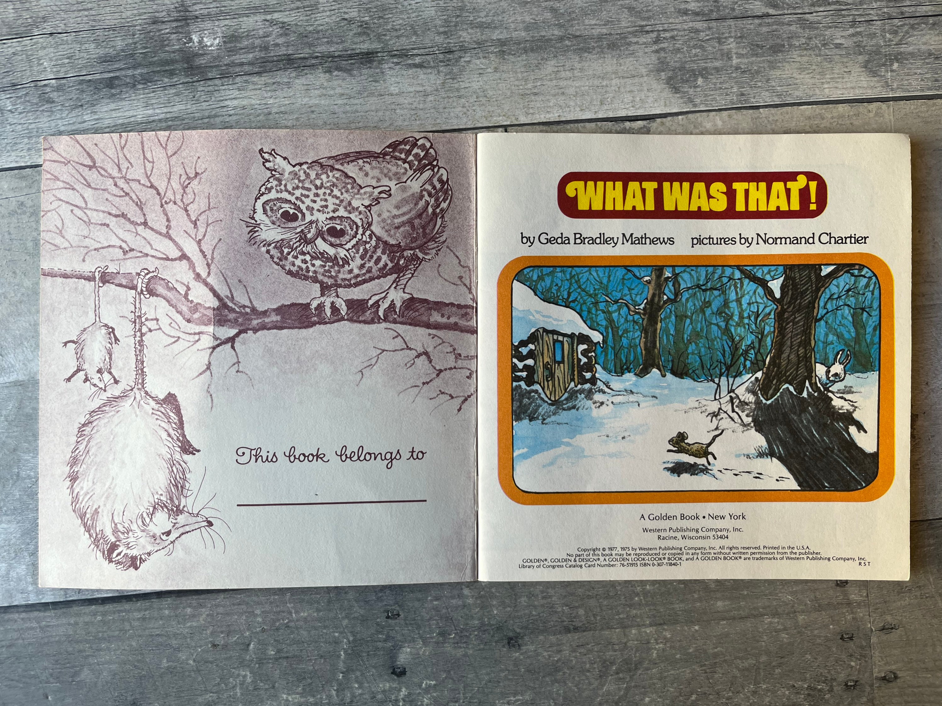 What Was That A Golden Look-look Book 1977 - Etsy