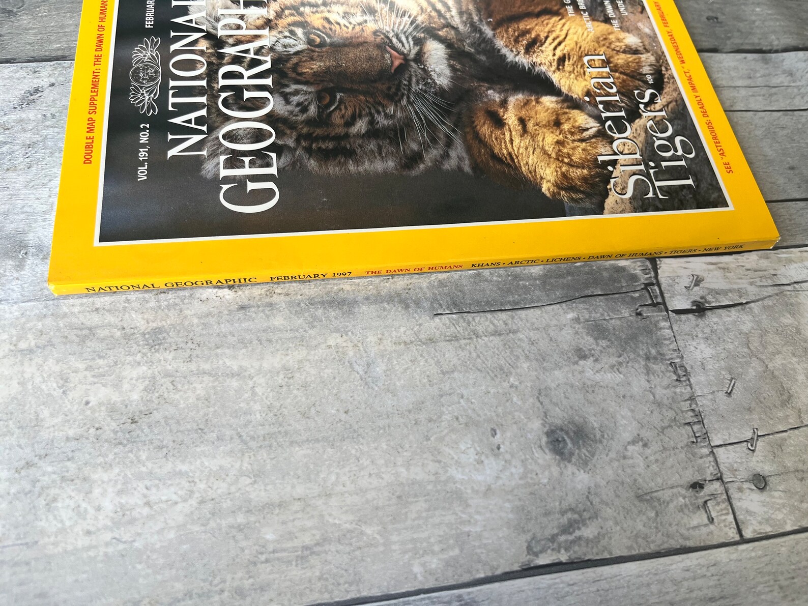 National Geographic Magazine Volume 191 No. 2 February 1997 Does NOT ...