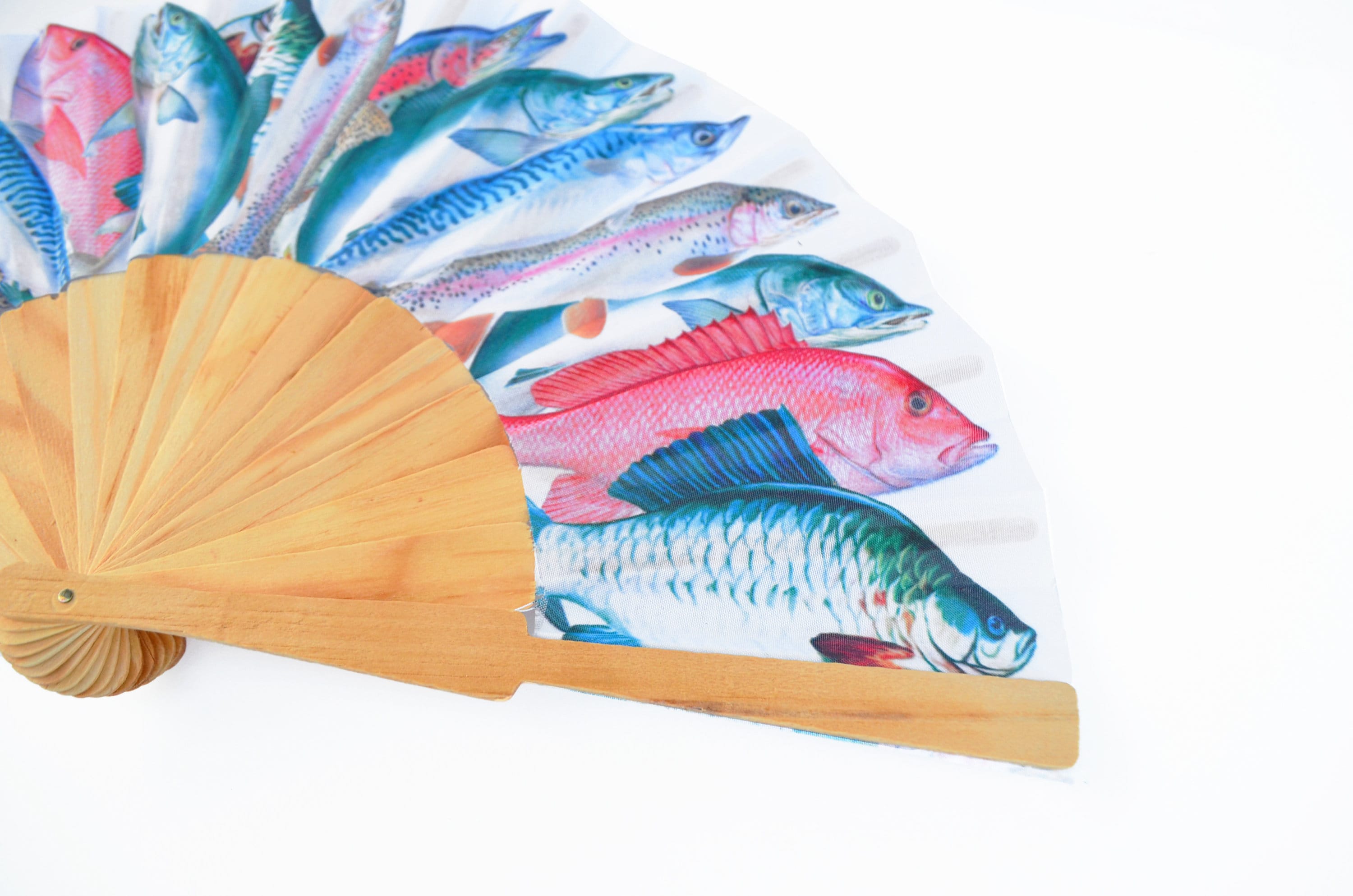 Sardine Hand Fan – Fish Folding Fan – Coastal Style Accessory – Summer ...
