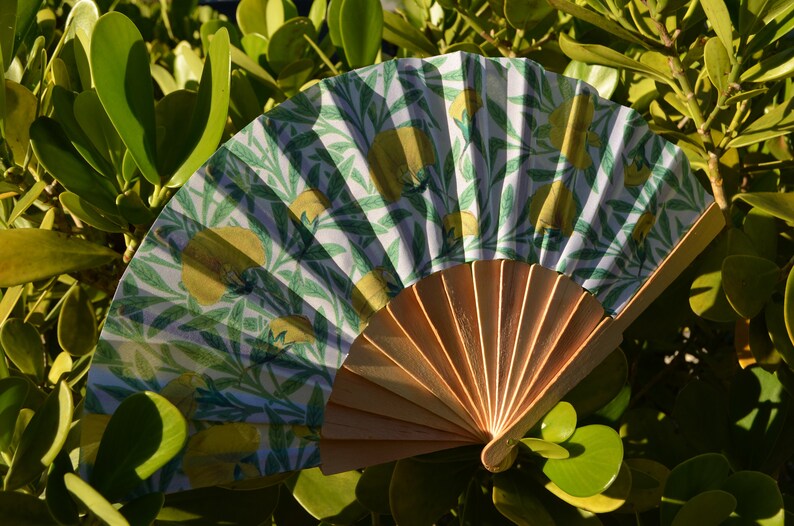 Summer HAND FAN Amalfi Coast Folding Fan Green Favors - Etsy