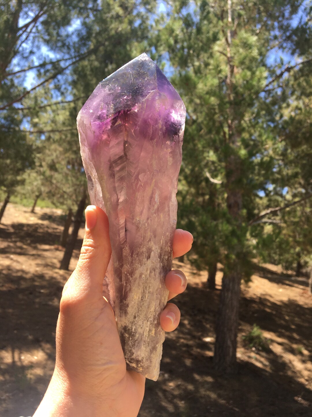 Natural Amethyst Point, Dragon’s Tooth Amethyst, Bahía Amethyst Point ...