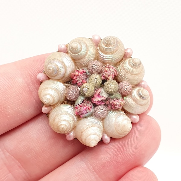 Shell Brooch - Etsy