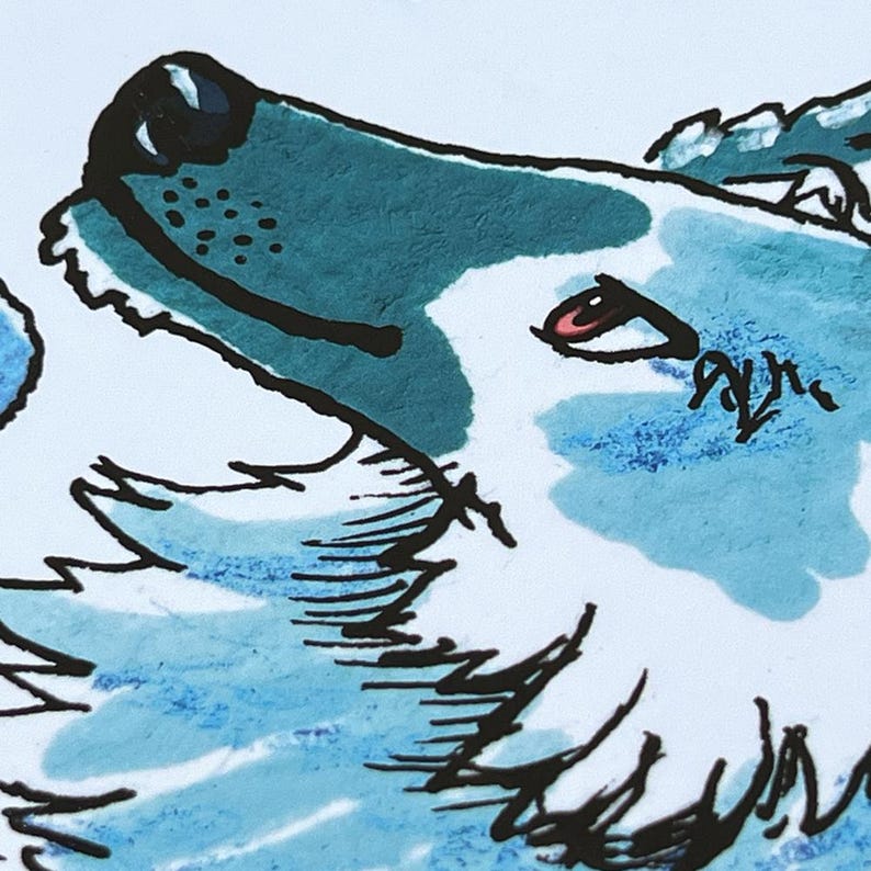 Turquoise Water Wolf Art Print, OC Wolves Portrait Wall Art, Animals ...