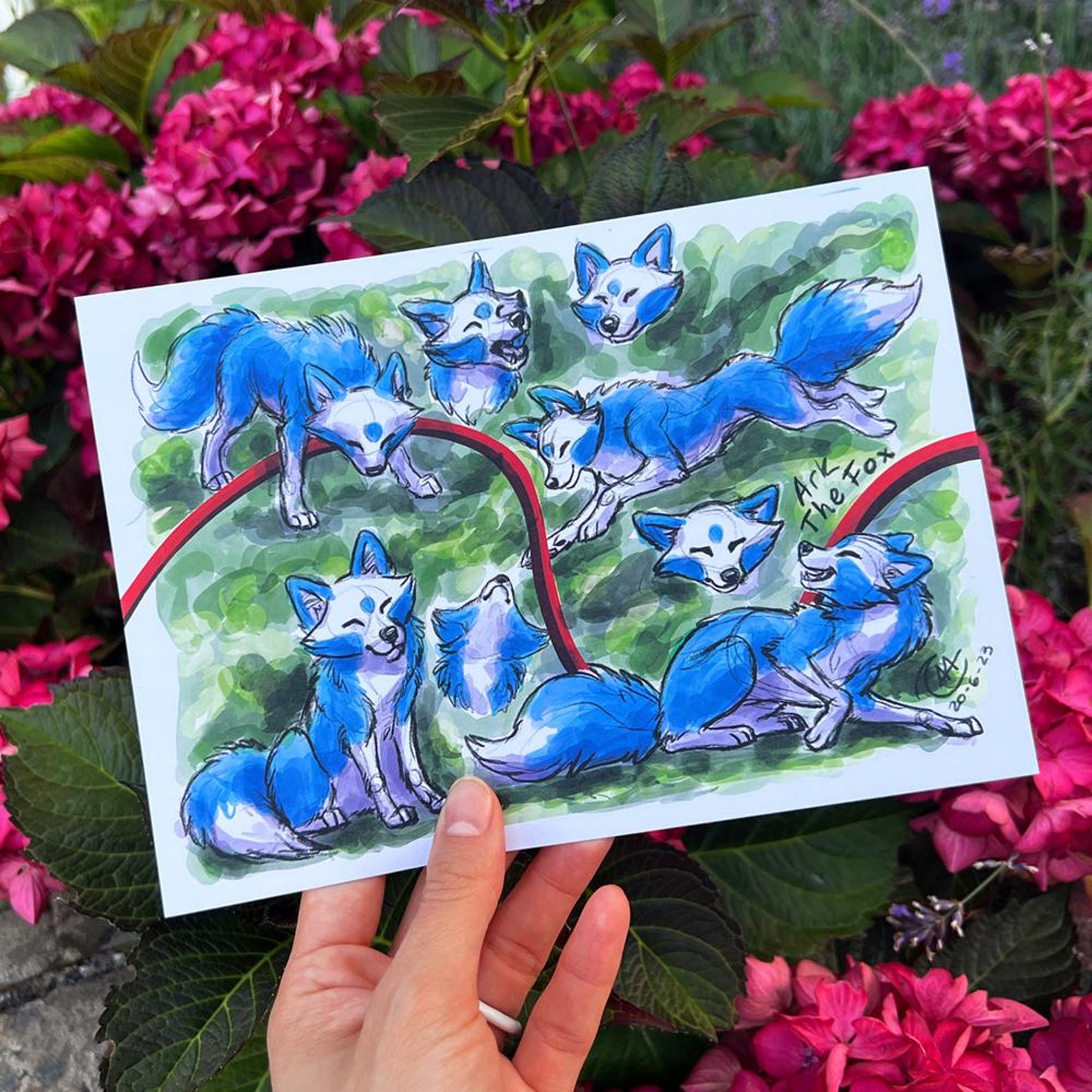 Meet Ark the Fox Art Print, OC Blue Fox Illustration, Fox Lovers Art ...