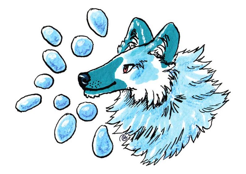 Turquoise Water Wolf Art Print, OC Wolves Portrait Wall Art, Animals ...